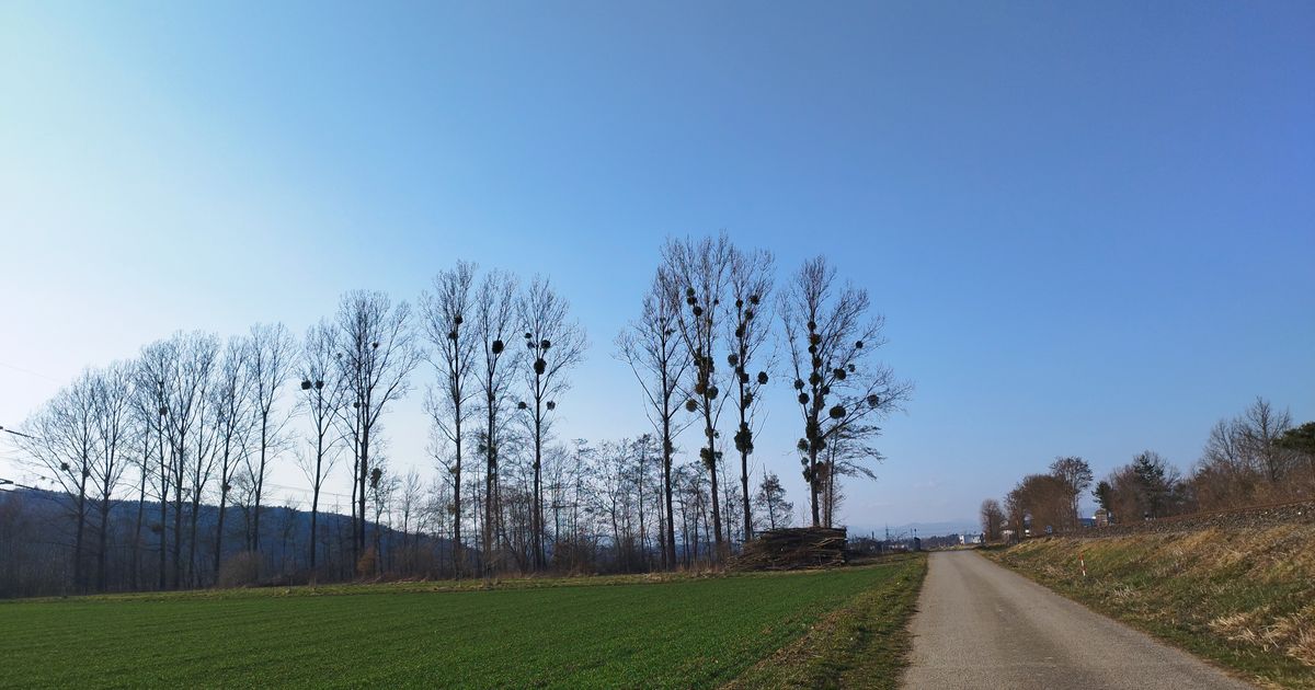 Hofstätten a. d. Raab Weiz – App Run pasākums