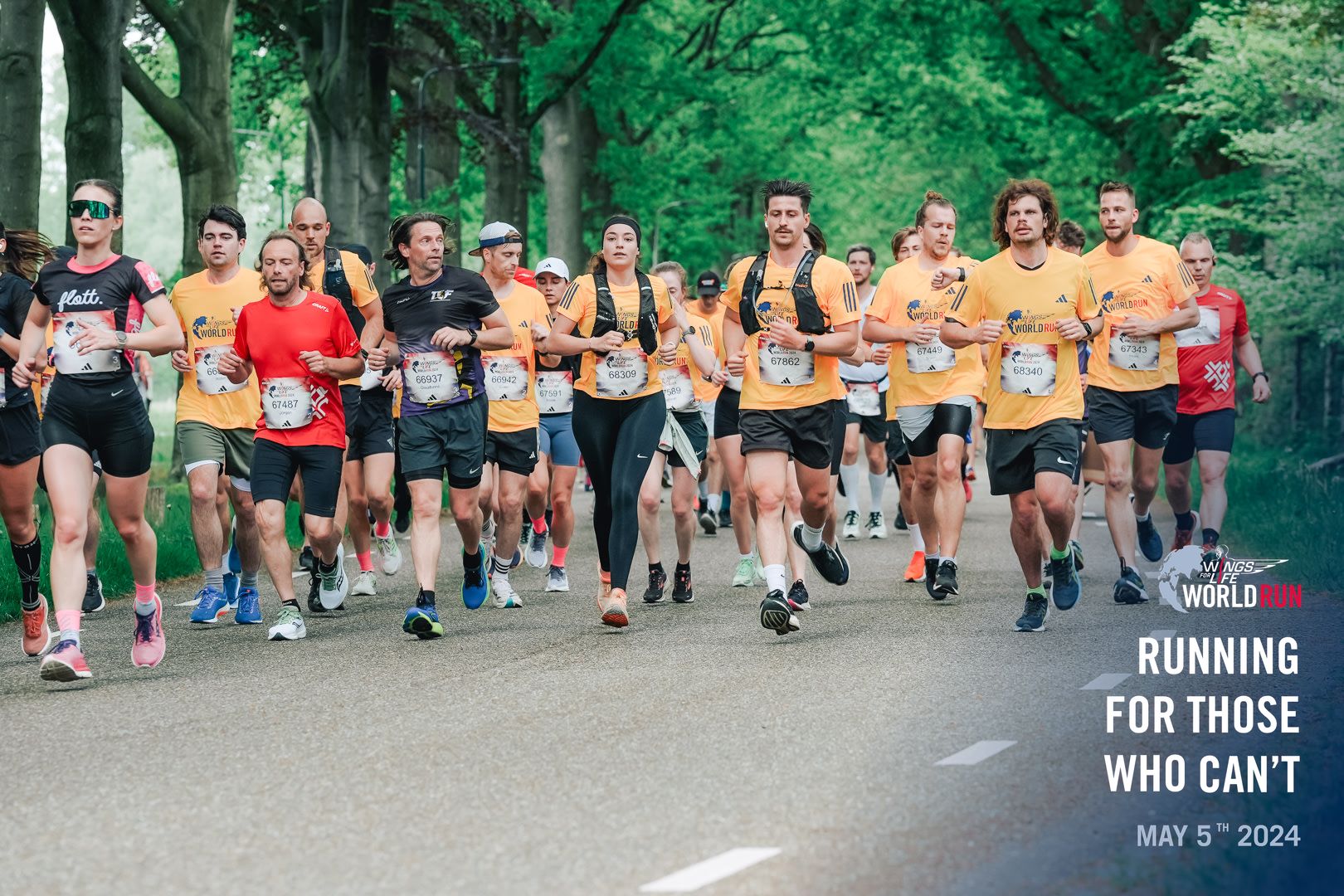 Tessa van Rijswijk's Running Profile