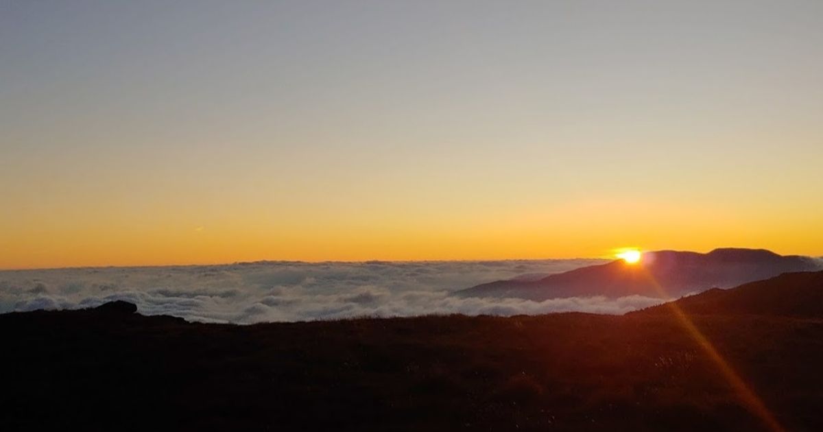 Manfred Stanek's Laufprofil