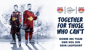 Teams - Wings for Life World Run