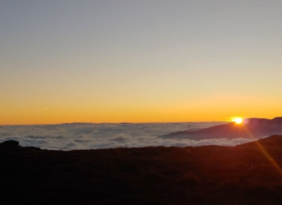 Manfred Stanek's Laufprofil